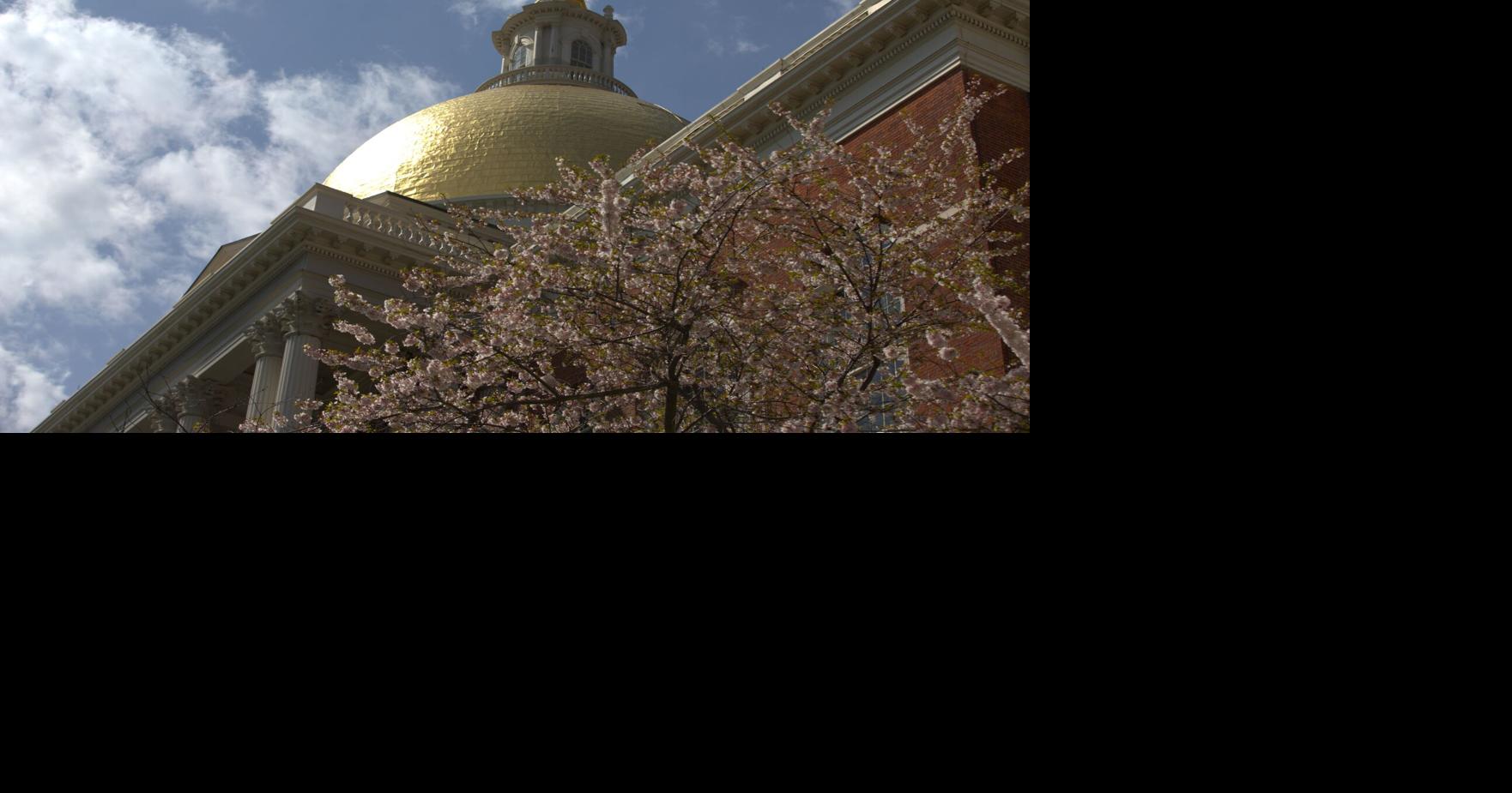 Democrats reject tax cut proposals, previewing ballot debate | Taxation ...