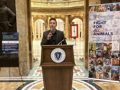 Mass. Trailing Other States On Animal-Free Testing Alternatives | The ...