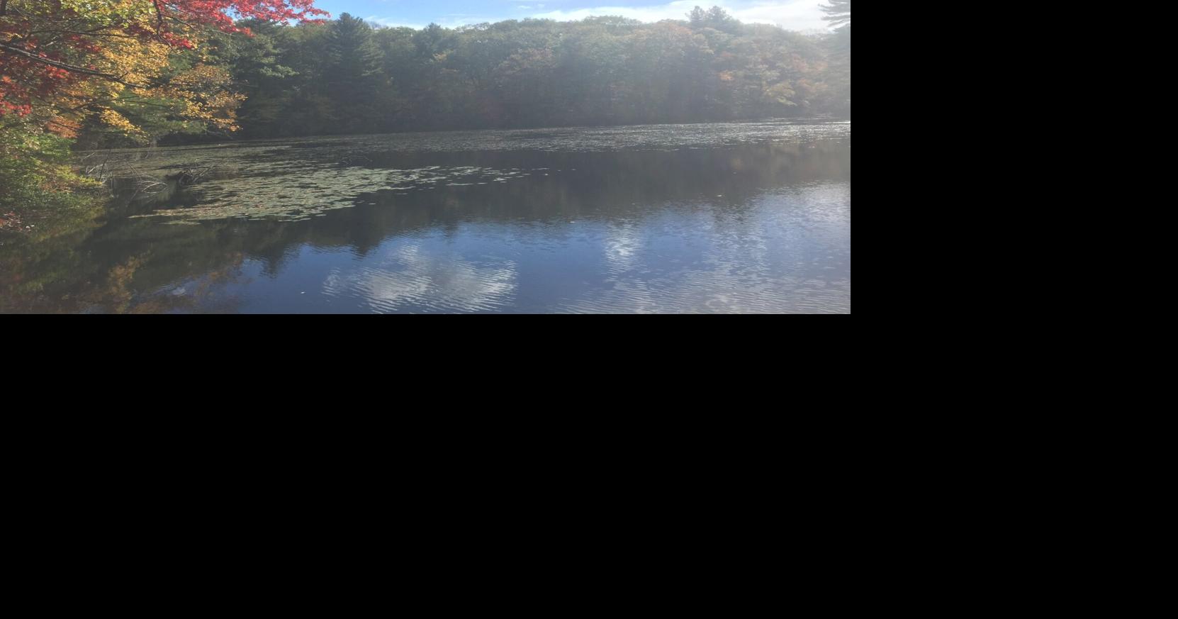 DCR Map Tracks Fall's Changing Colors | Environment | statehousenews.com