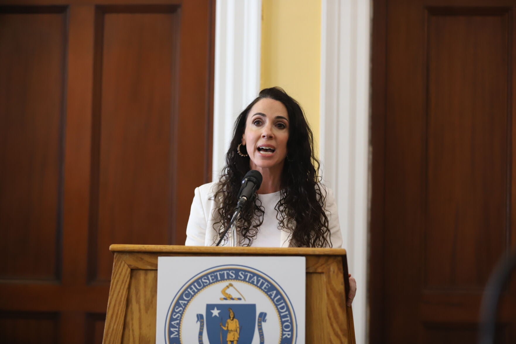 DiZoglio files audit law complaint with state's high court | Politics ...