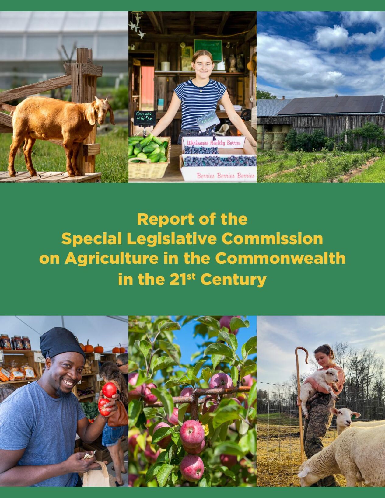 Agritourism, local food access at center of Senate farm bill | Senate ...