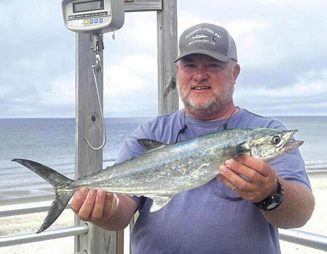 MFC says no recreational flounder season this year | Sports ...