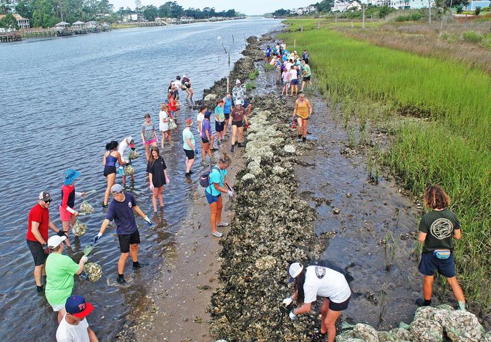 Volunteers help keep 'Living Shoreline' at St. James thriving | News ...