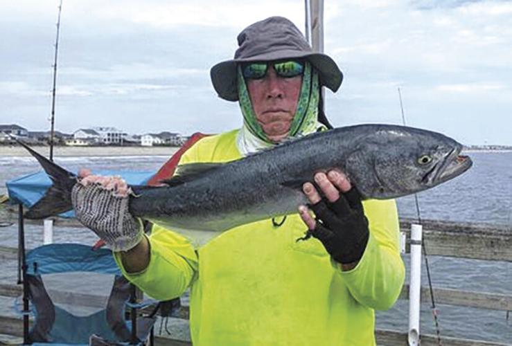 It's either feast or famine: Yep, that's fishing | Sports ...