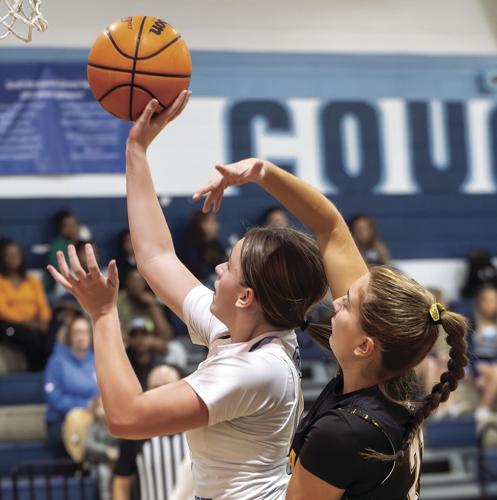 Cougars to host county rival North this Friday | Sports ...