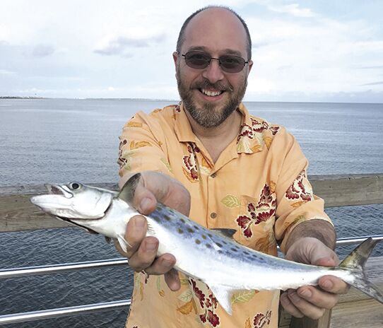 MFC says no recreational flounder season this year | Sports ...