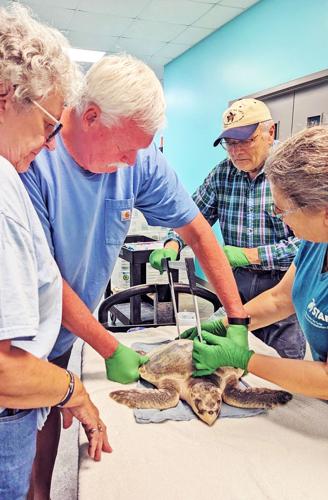 Wildlife rescued by local volunteers | Community Focus | stateportpilot.com