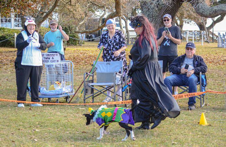 2022 Sydney's Howl-o-Ween Bowser Bash Gallery | | stateportpilot.com