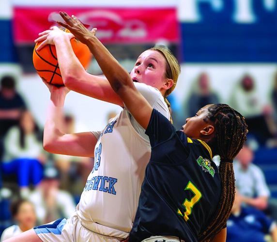Lady Cougars' thrilling season ends in playoffs | Sports ...