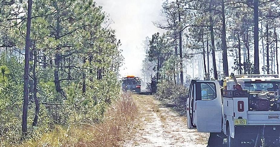 BSL fire rescue, aid partners control woods fire | News ...