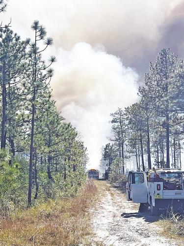 BSL fire rescue, aid partners control woods fire | News ...