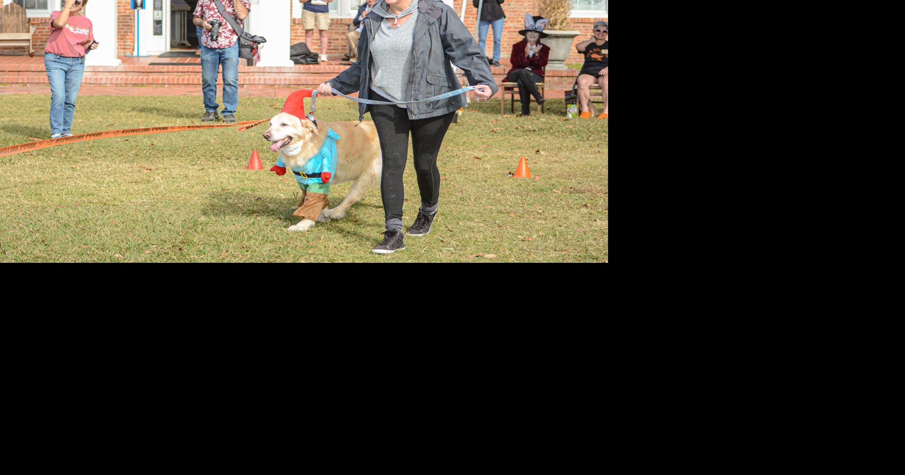 2022 Sydney's Howl-o-Ween Bowser Bash Gallery | | stateportpilot.com
