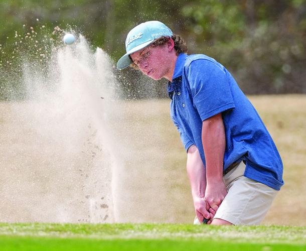 Bumgarner, Cougars are top 3A golfers | Sports | stateportpilot.com