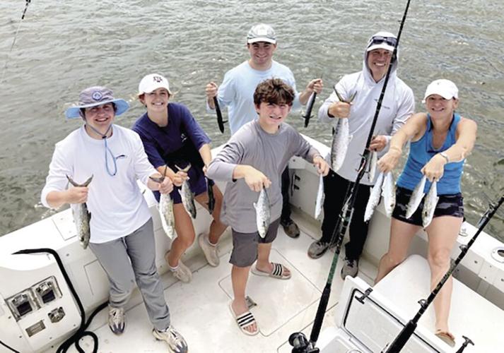 MFC says no recreational flounder season this year | Sports ...