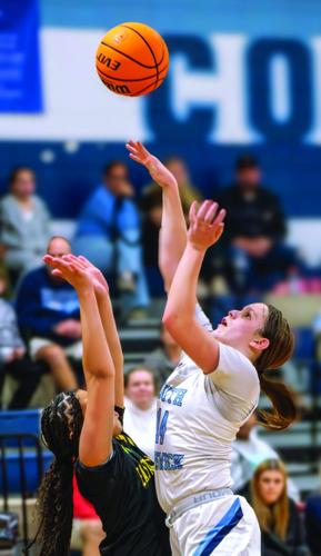 Lady Cougars' thrilling season ends in playoffs | Sports ...