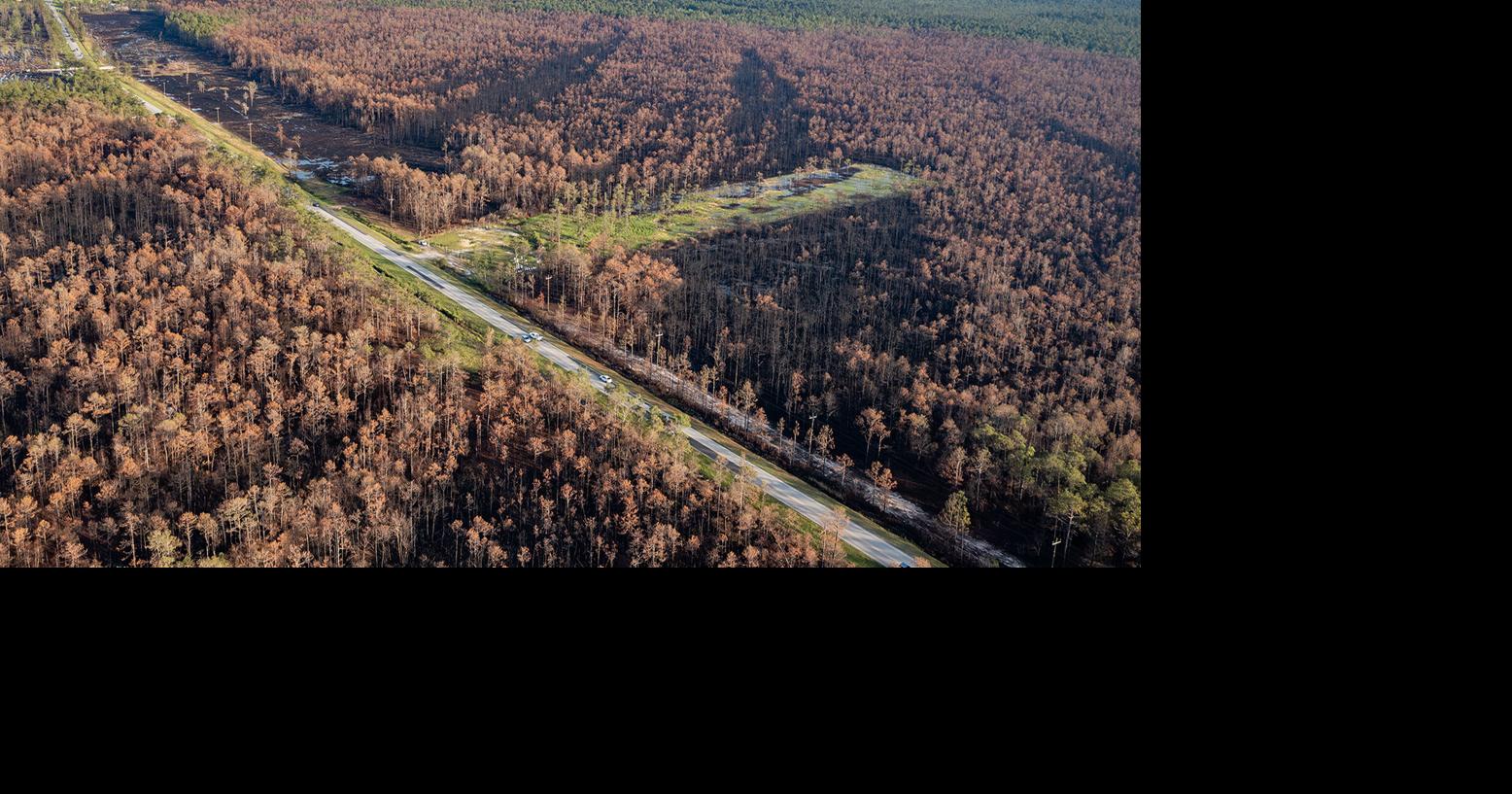 BSL's Sunset Road fire officially 100% contained | News ...