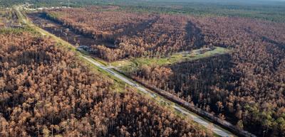 BSL's Sunset Road fire officially 100% contained | News ...