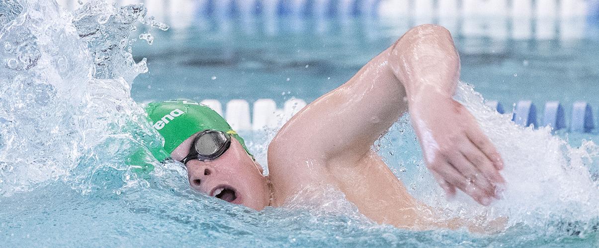 Gators swim team hosts Cupid Qualifier | Sports | stateportpilot.com