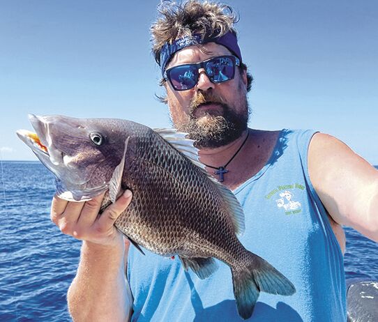 Summer arrives; flounder fight at new level | Sports | stateportpilot.com