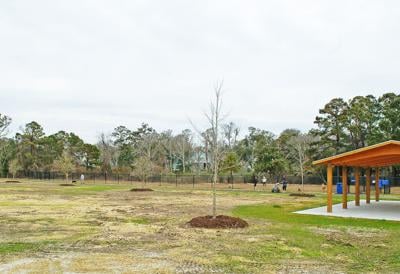 Residents, pets pleased as Taylor Field Park opens to public | News ...