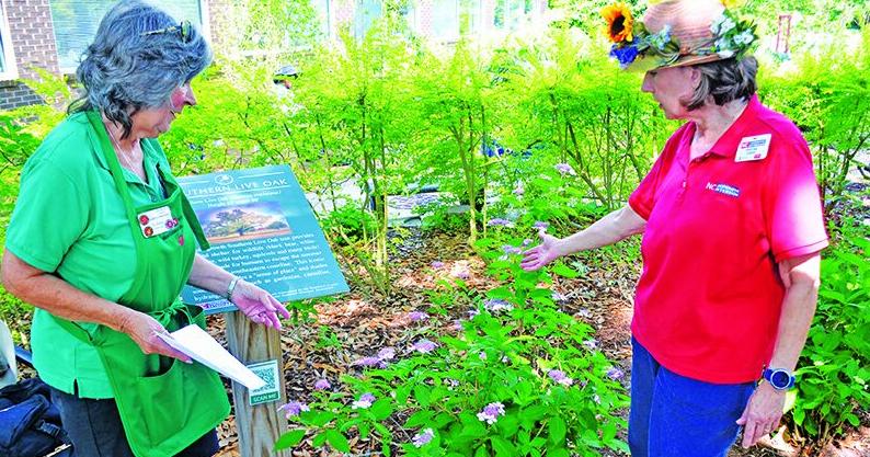 Master Gardeners showcase their beautiful work | Community Focus ...