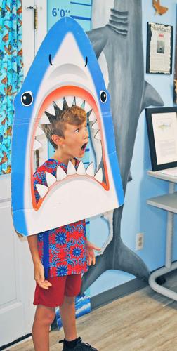 Ocean Education Center hosts 'Shark Week' | Community Focus ...