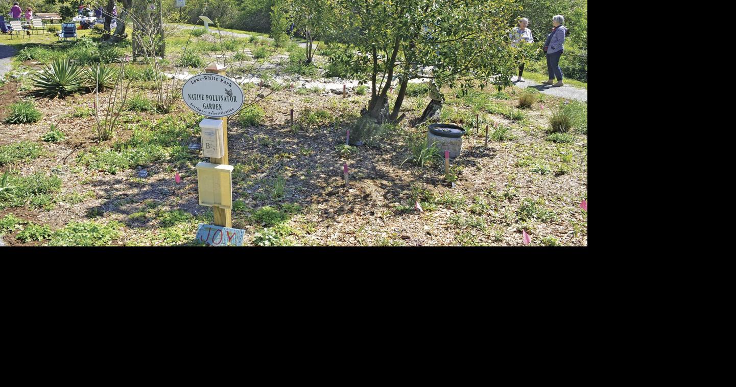 Pollinator garden a haven for bees, birds, butterflies | Community ...