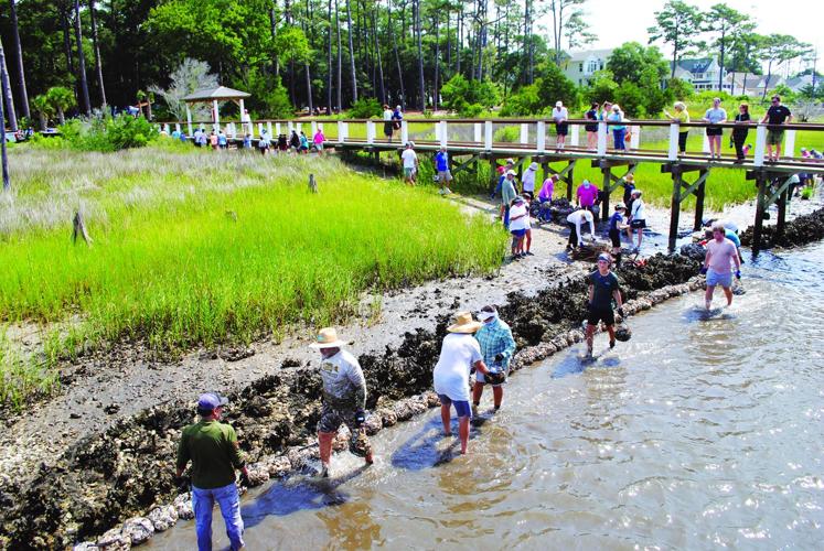 St. James Living Shoreline project in its 20th year | Community Focus ...