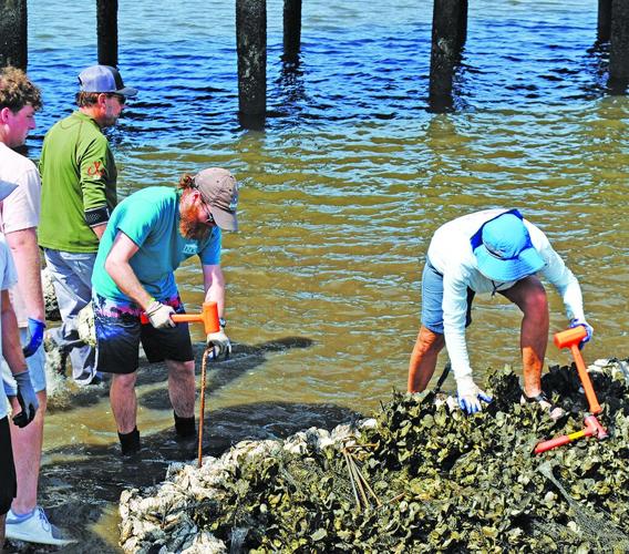 St. James Living Shoreline project in its 20th year | Community Focus ...