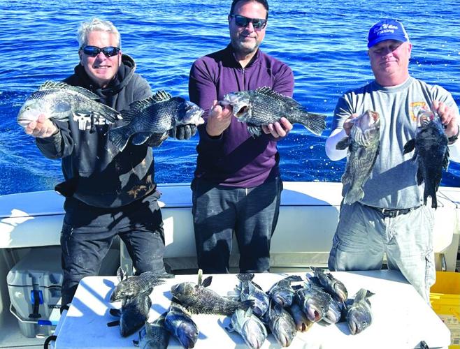 Fishing: Emerging from the freezer – and it feels good | Sports ...