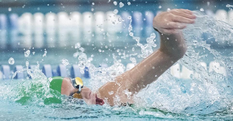Gators battle Sea Devils at home swim meet | Sports | stateportpilot.com