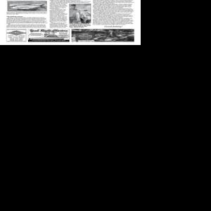 Page C2 | e-Pilot | stateportpilot.com