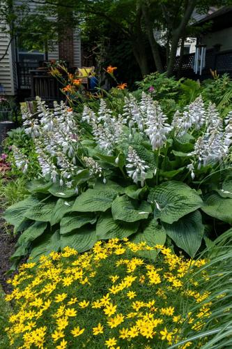 Revisiting the 2023 Niagara Falls Garden Walk