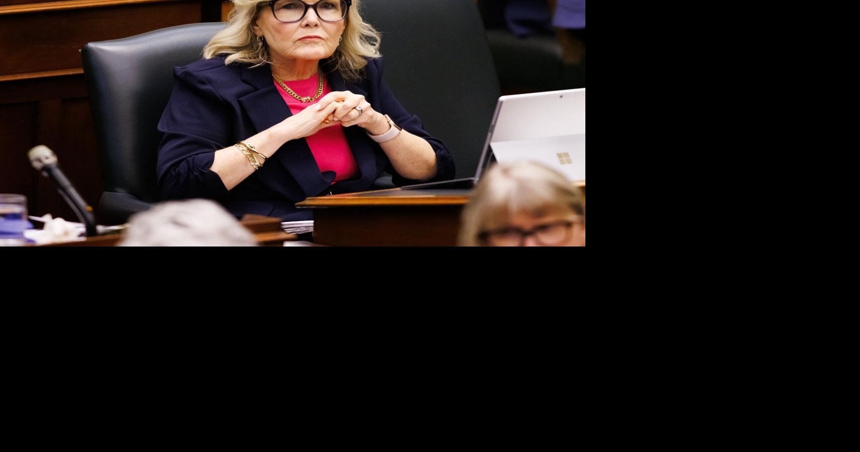 Tories challenge ruling allowing scrutiny of Ontario government ...