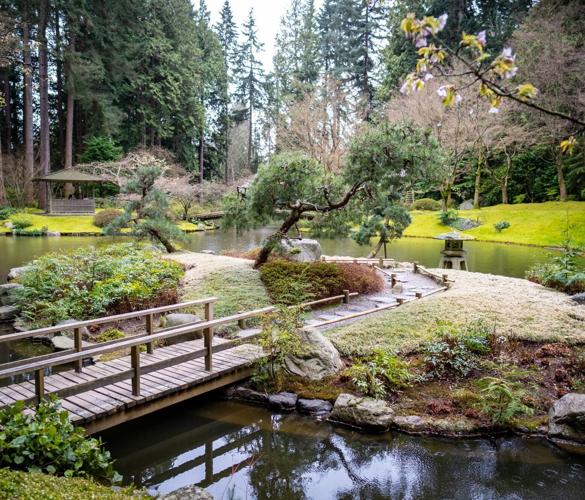 A visit to Nitobe Memorial Garden