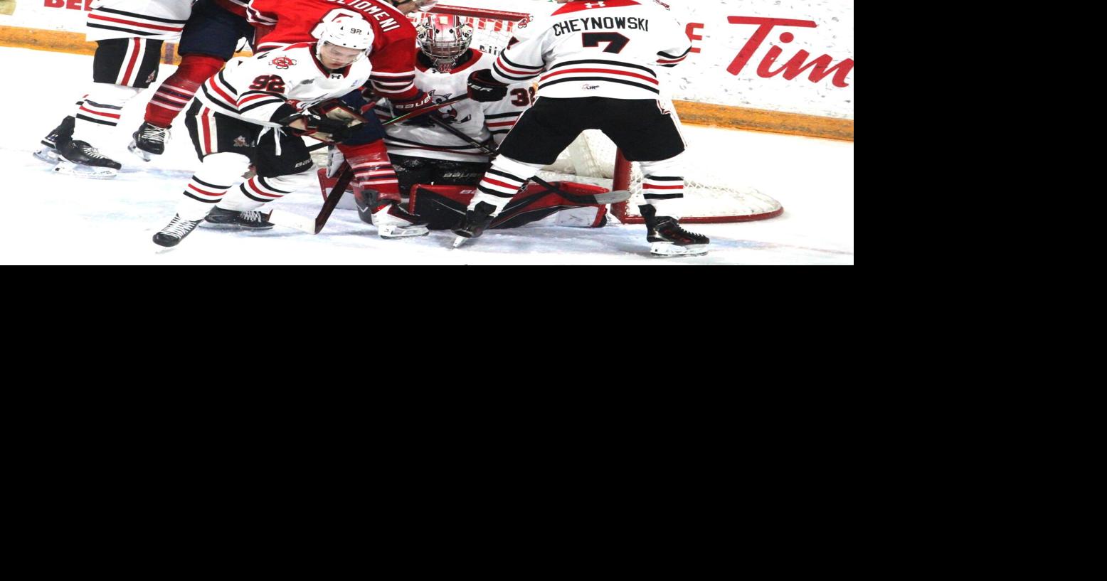 Niagara IceDogs enter new year with four-game win streak