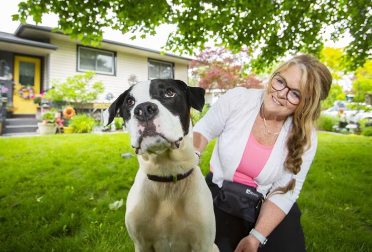 St. Catharines Standard top stories of the week