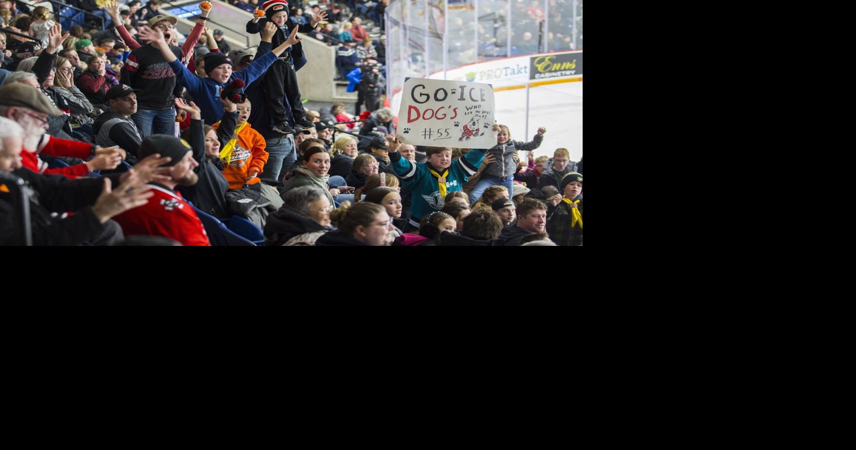 Niagara IceDogs under new OHL investigation