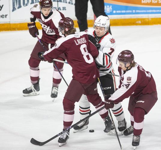 Niagara IceDogs-Peterborough Petes OHL game recap