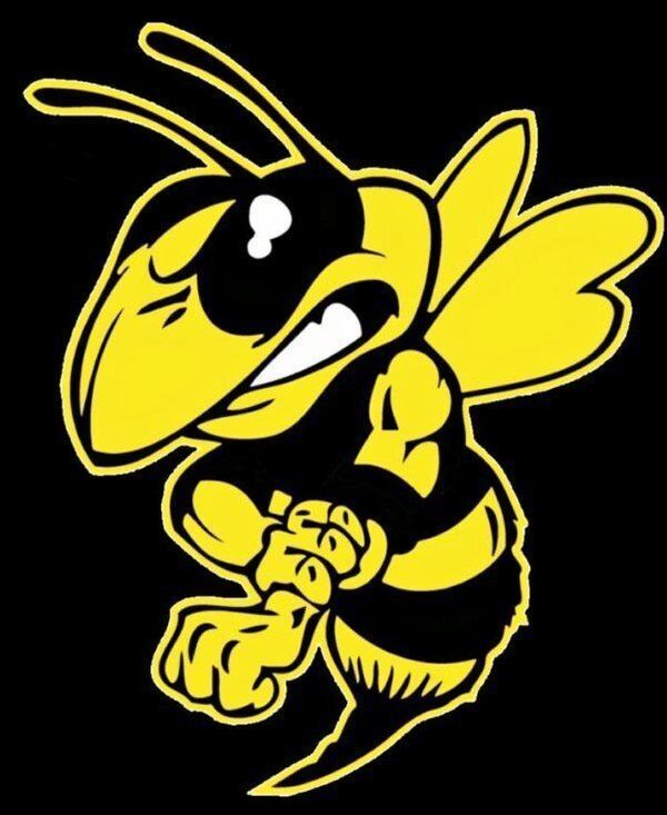Beamville Yellow Jackets defend senior men’s baseball title
