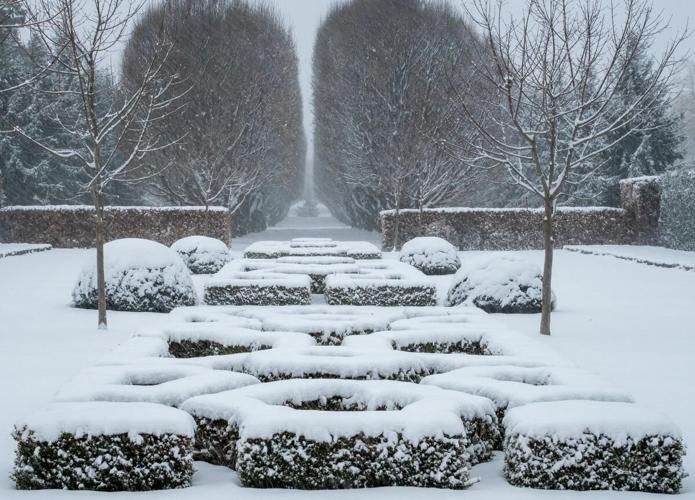 Growing Your Garden: Exploring and enjoying the winter garden