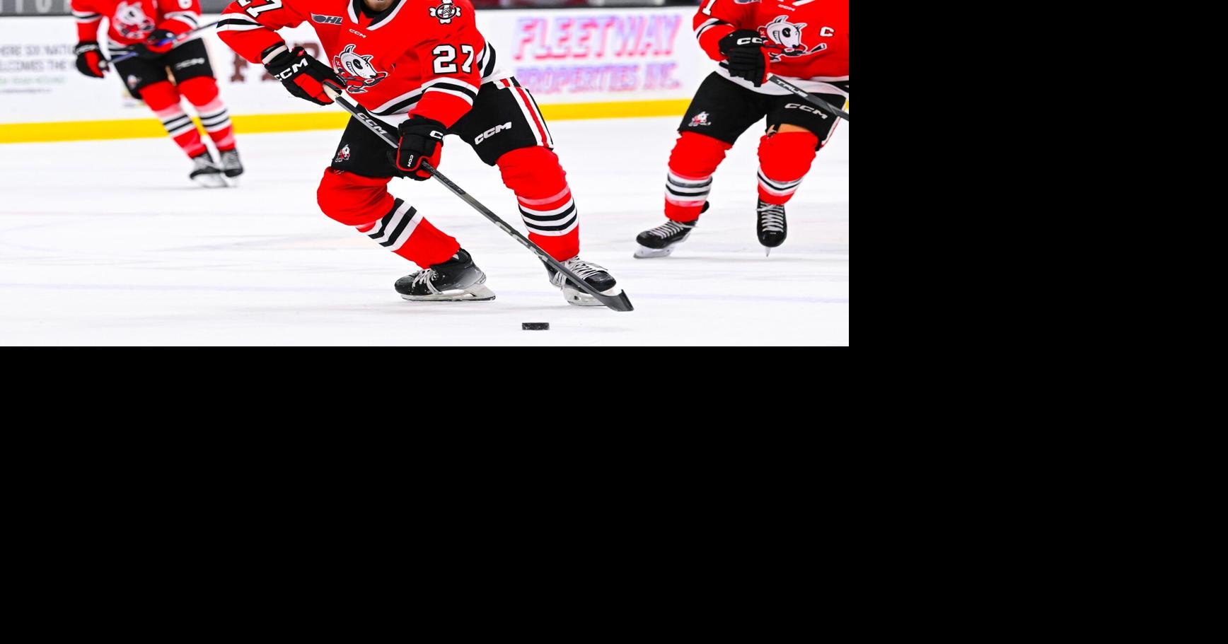 Niagara IceDogs-Erie Otters OHL game recap