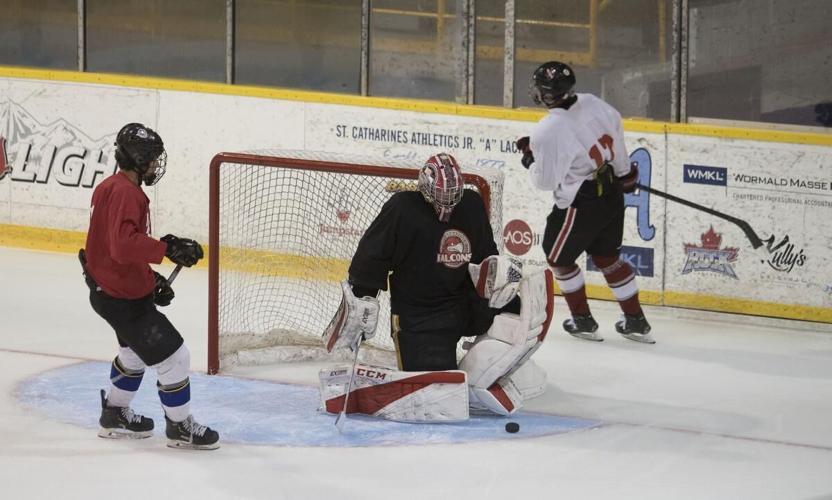 St. Catharines Falcons begin to take flight amid uncertainty