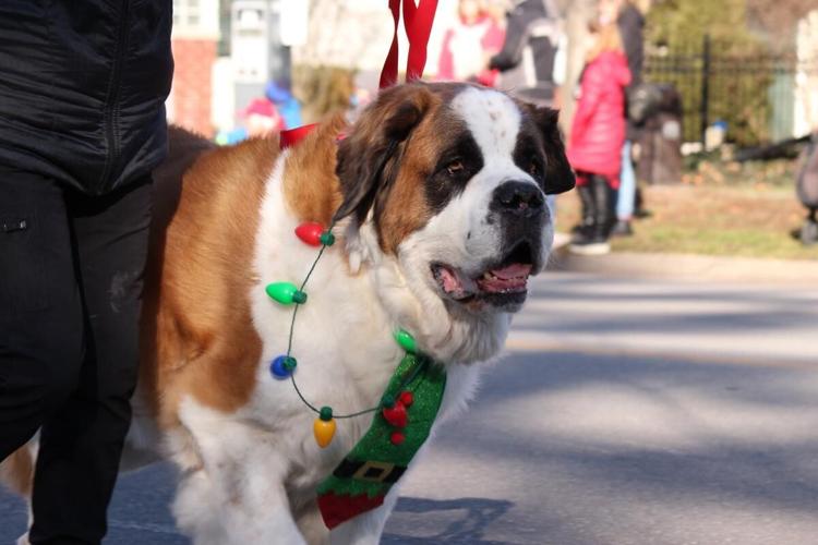 Photos: Christmas parade returns to Niagara-on-the-Lake
