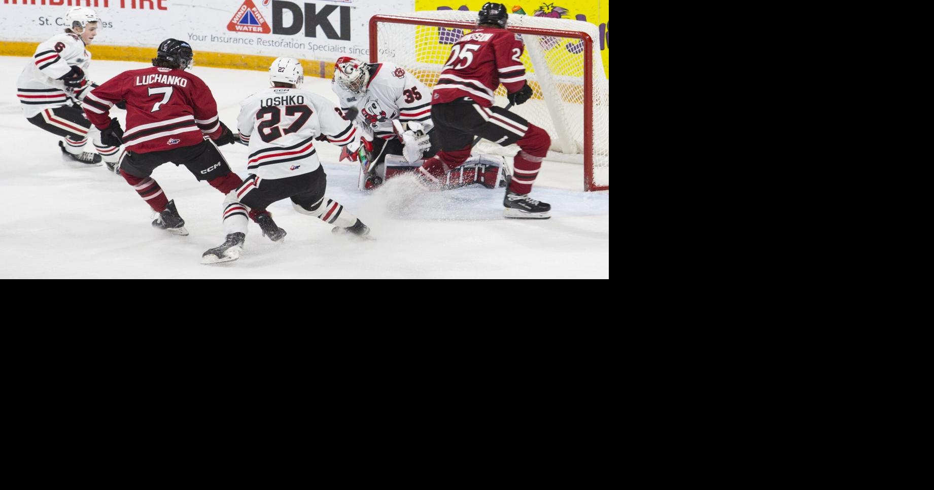 Niagara IceDogs-Guelph Storm OHL game recap