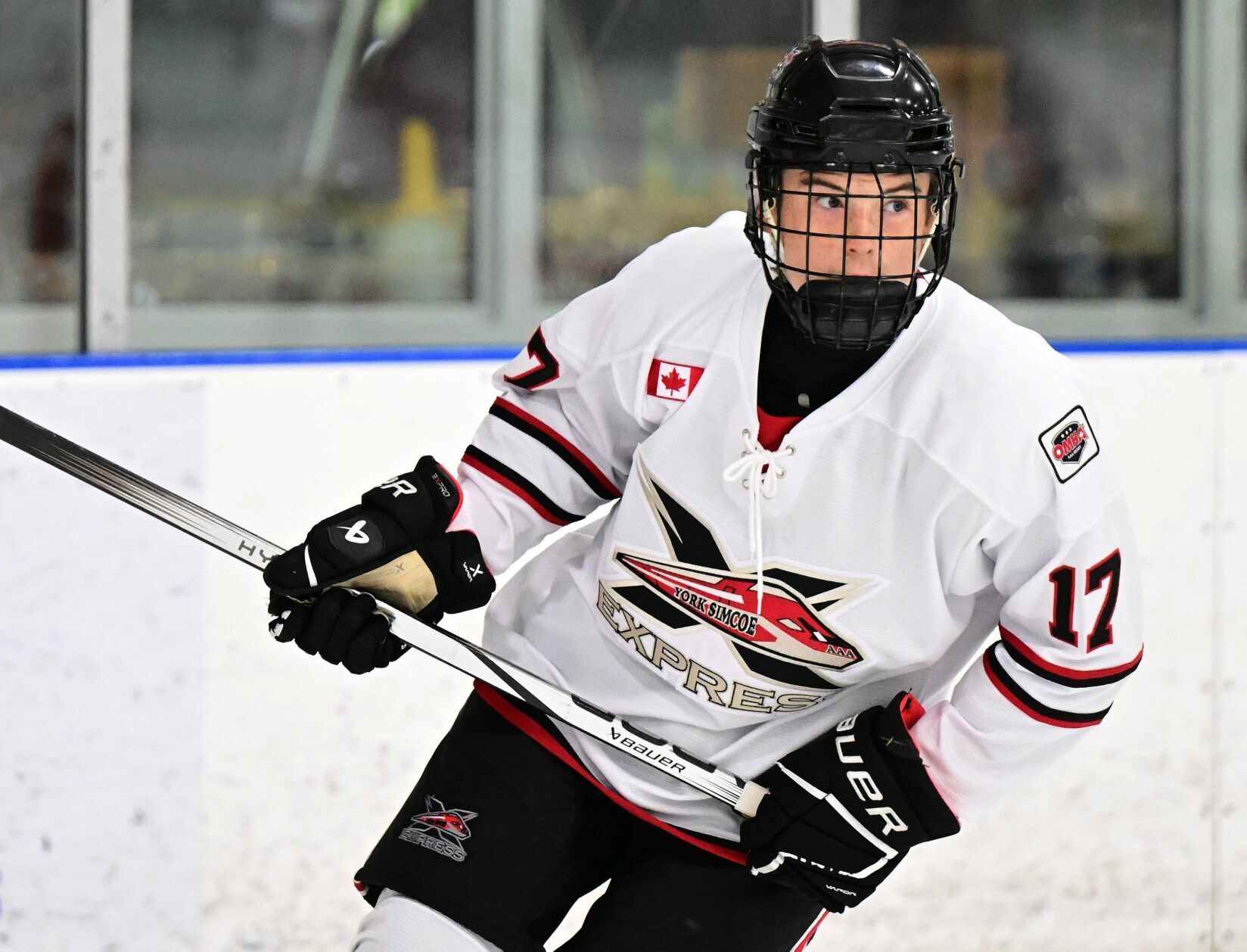 Niagara IceDogs open 2025-26 with new GM, head coach
