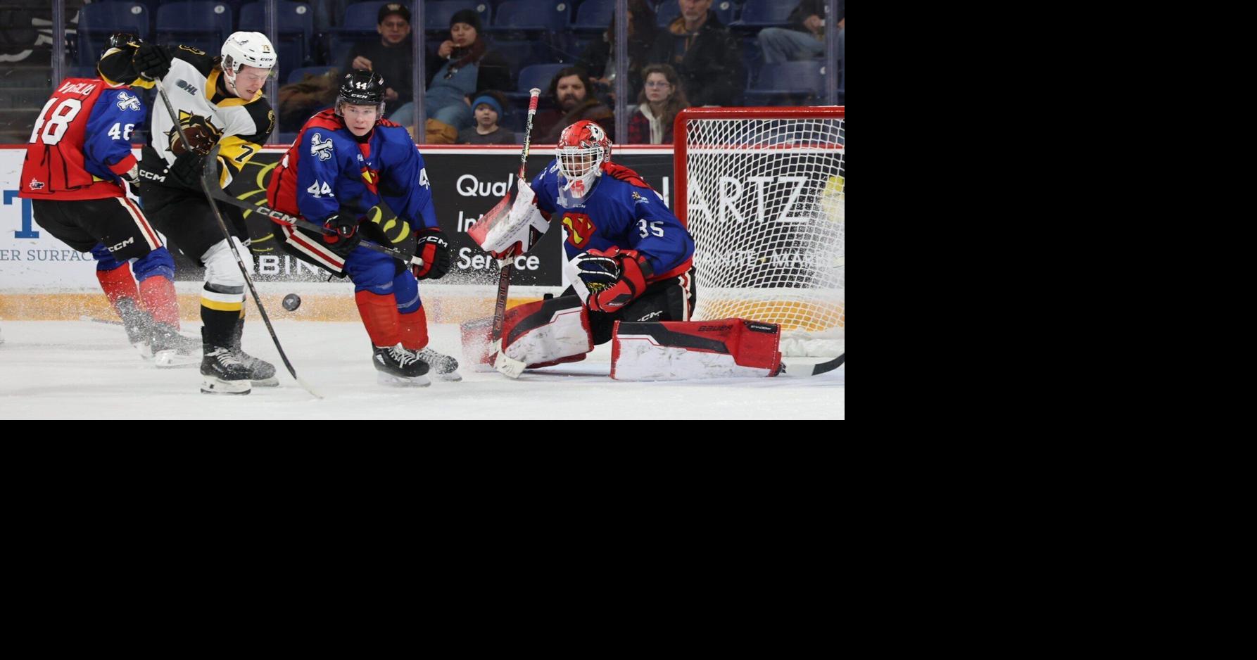 Niagara IceDogs-Brantford Bulldogs OHL game recap