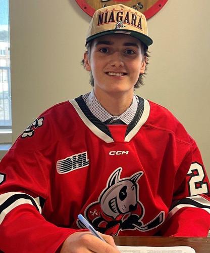 Niagara IceDogs-London Knights OHL game recap