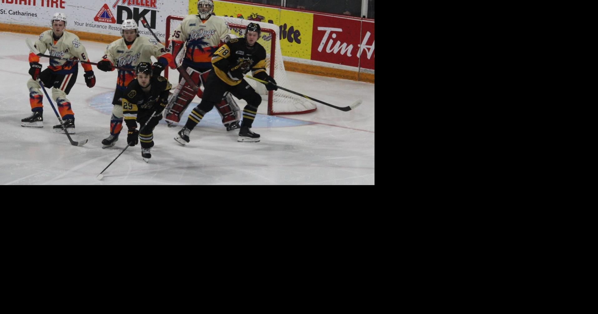 Niagara IceDogs-Brantford Bulldogs OHL game recap