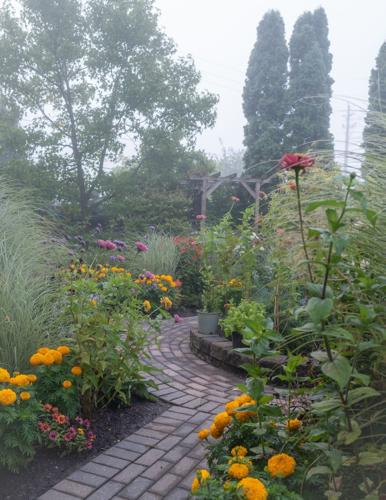 Entering the misty garden mystique in Niagara